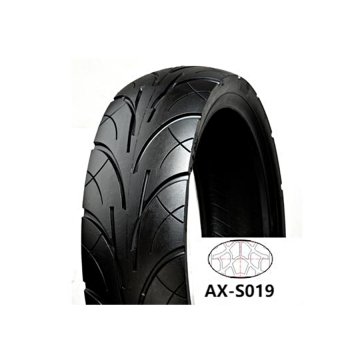 AX-S019